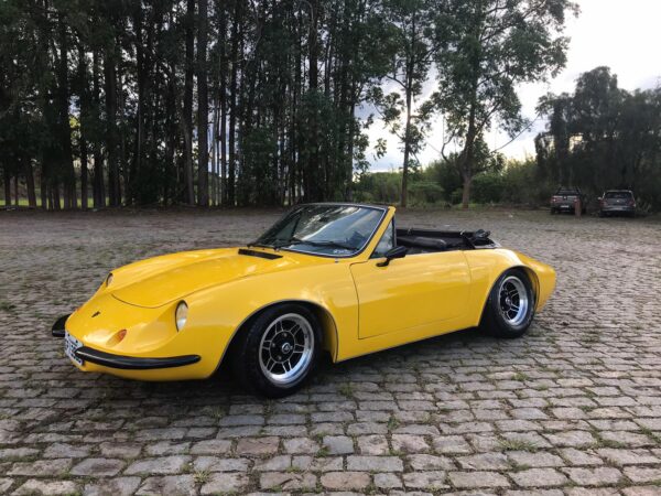 Puma: o esportivo brasileiro - Retornar - Transformando Vidas