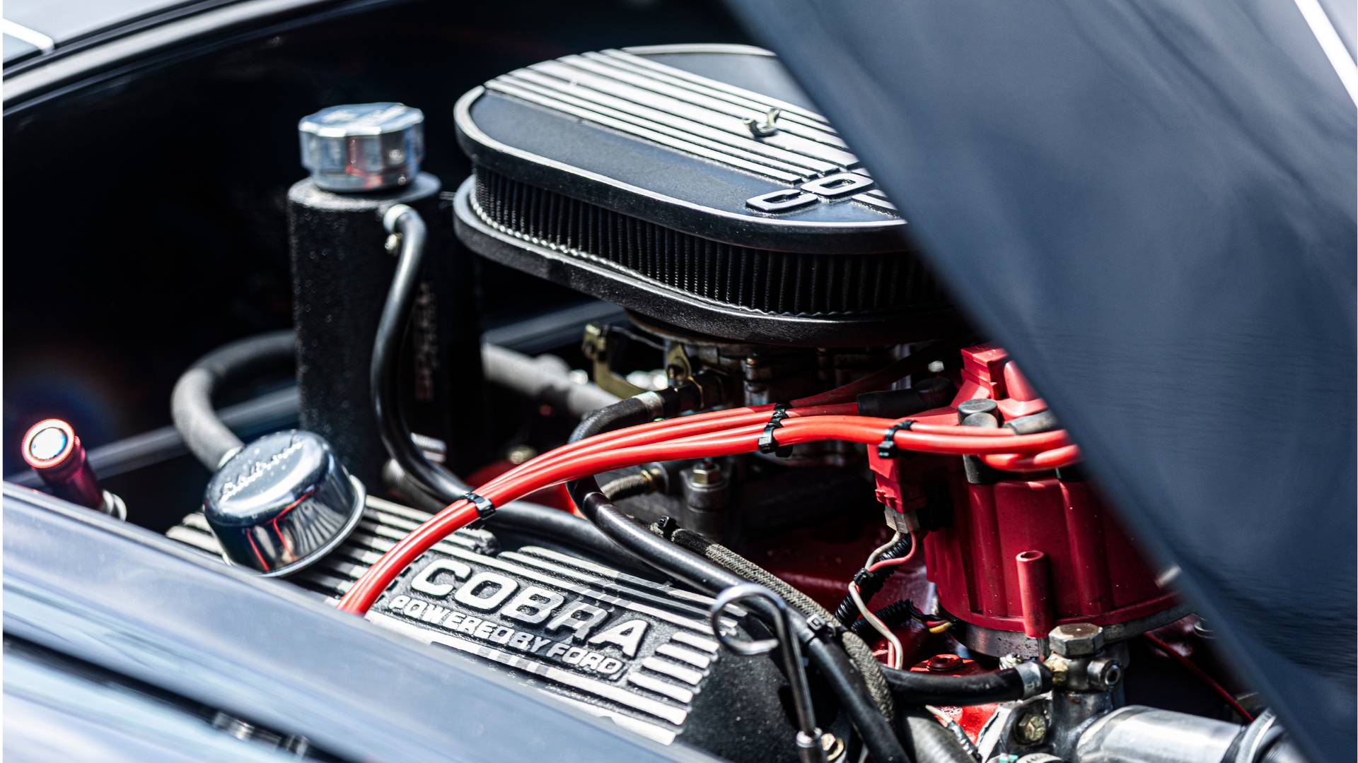 Shelby Cobra Réplica: Vale a Pena? - Retornar - Transformando Vidas